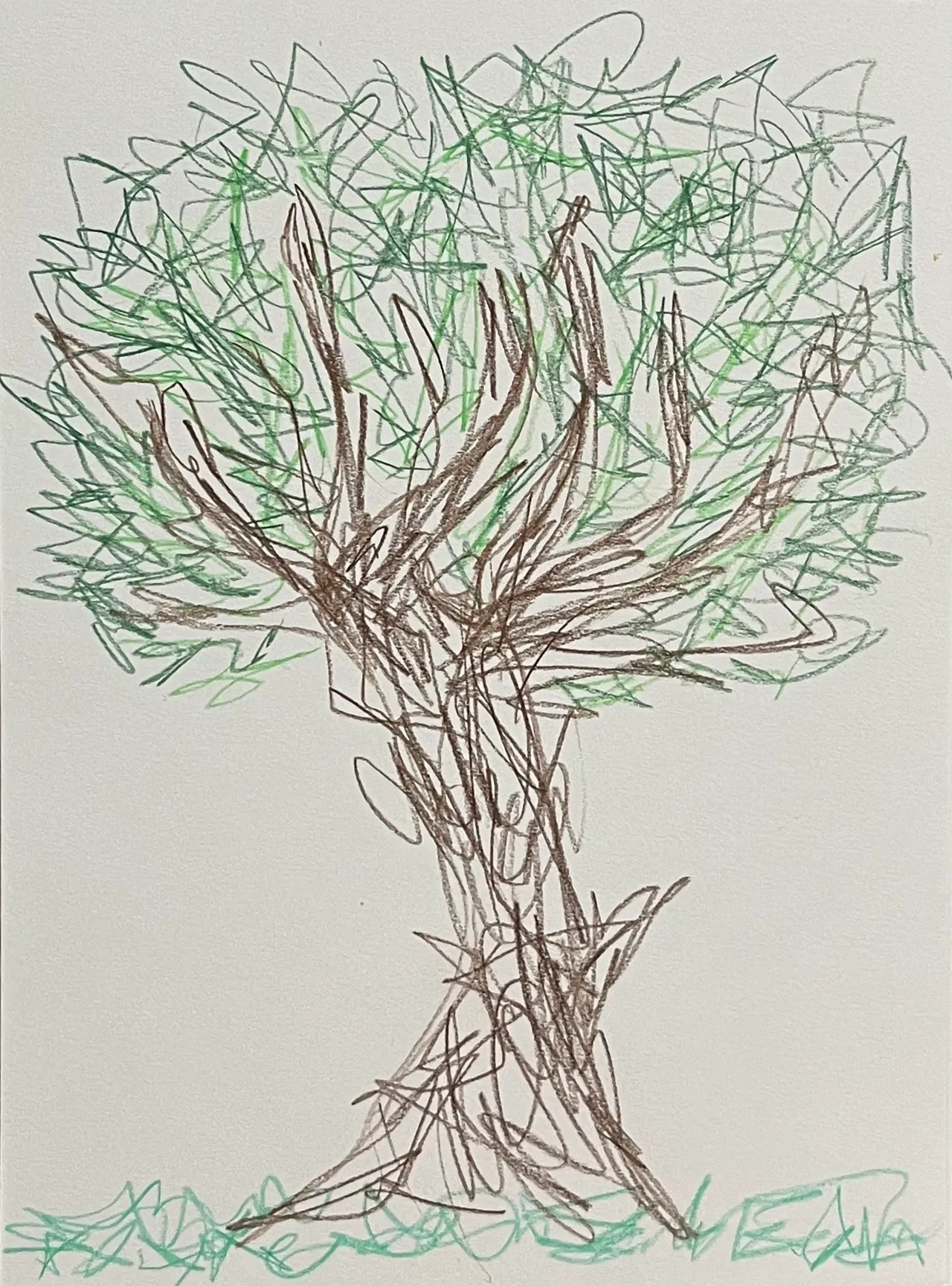 The Scribble Tree – Illumination Writes